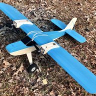 Flyzone Calypso or Parkzone Radian Pro | FliteTest Forum