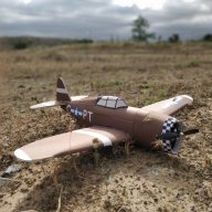 MiniacRC Mighty Mini P47 Thunderbolt | FliteTest Forum